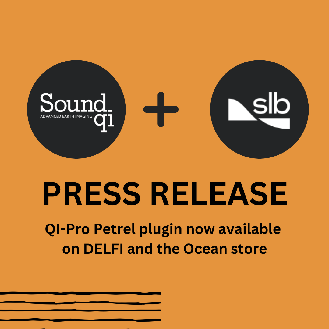 QI-Pro Petrel plugin now available on DELFI and the Ocean store